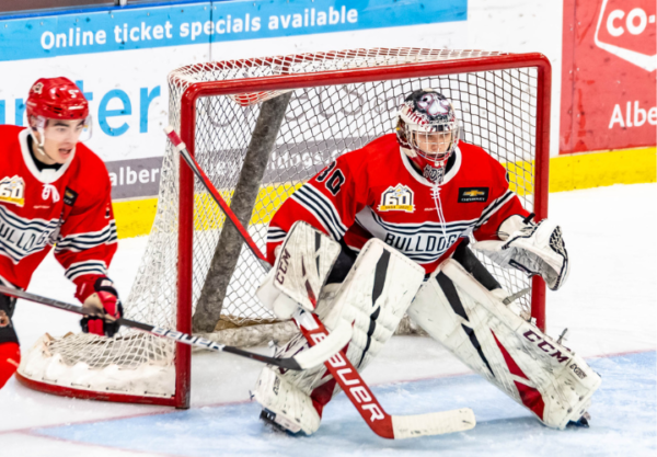 Hedquist Returning for 22-23 Season | Alberni Valley Bulldogs