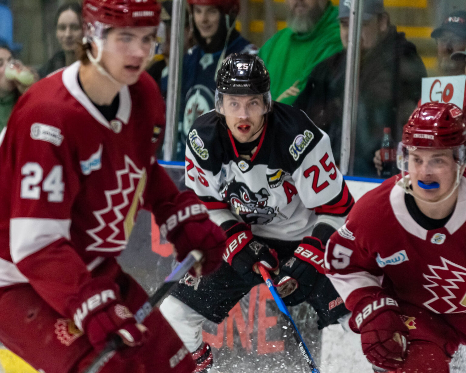 With Chiefs on the Brink, Bulldogs Expect Tough Test | Alberni Valley ...