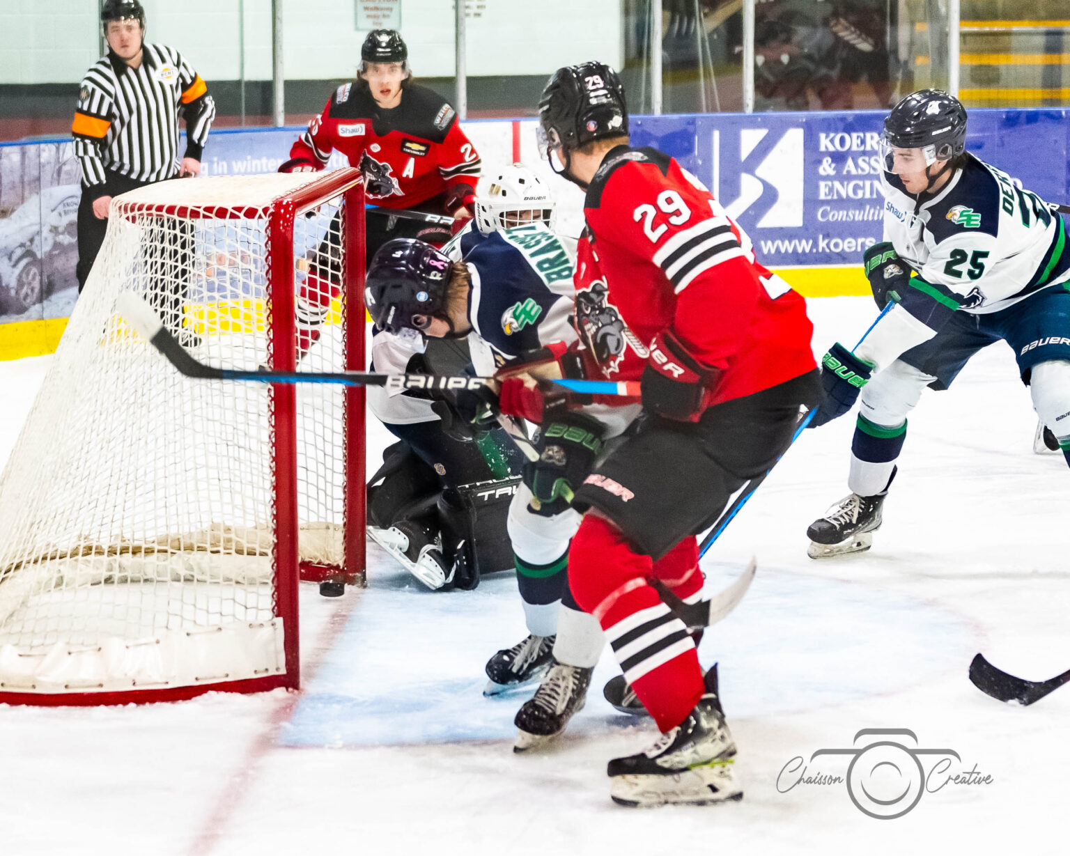 Alberni Valley Bulldogs